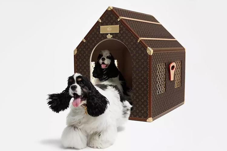 Pharrell Williams and Louis Vuitton Present a Luxurious Collection for Pets