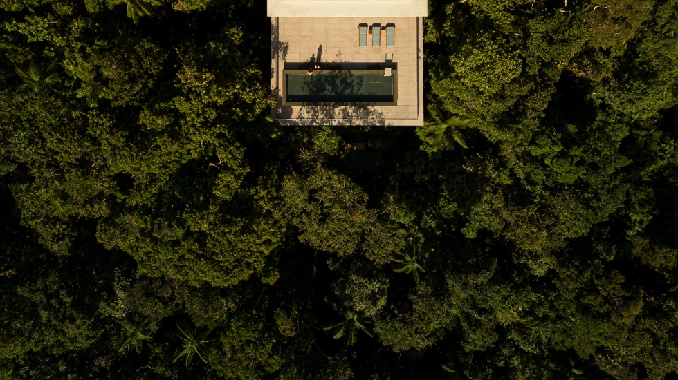 Canopy House – A Harmonious Blend of Architecture and Nature in the ...