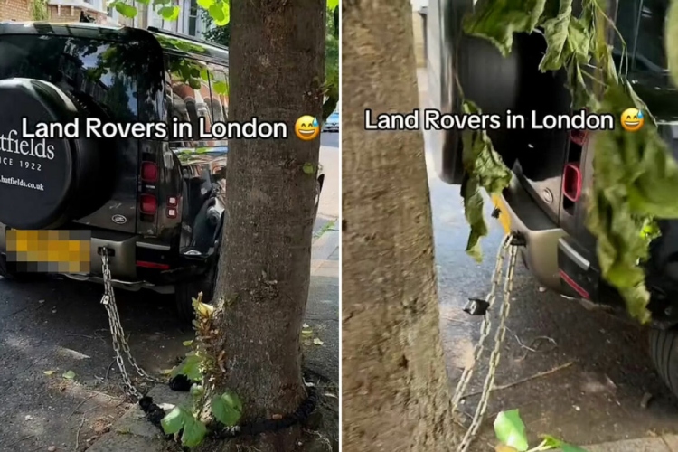 London Millionaires Tether Their Luxury SUVs to Trees to Protect Them ...