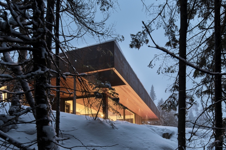 Owl’s Shield House: An Architectural Refuge in the Heart of the ...
